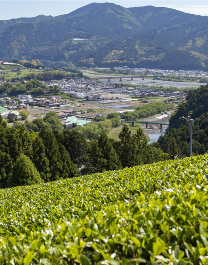 First-Time Visitors - Visit Suruga