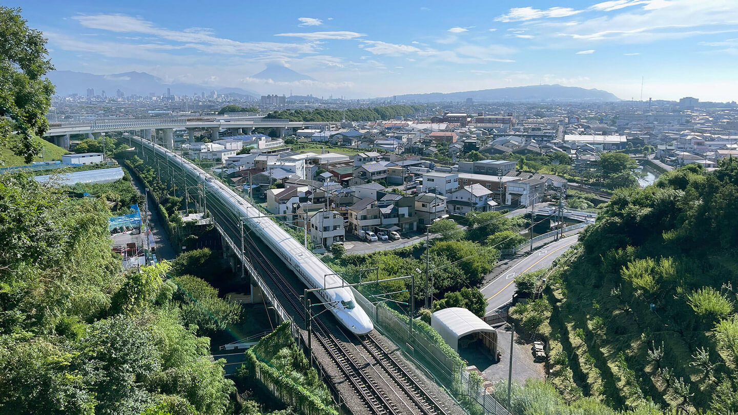 Visit Suruga - Tour of Japan’s No.1 Tea Producing Region, Suruga